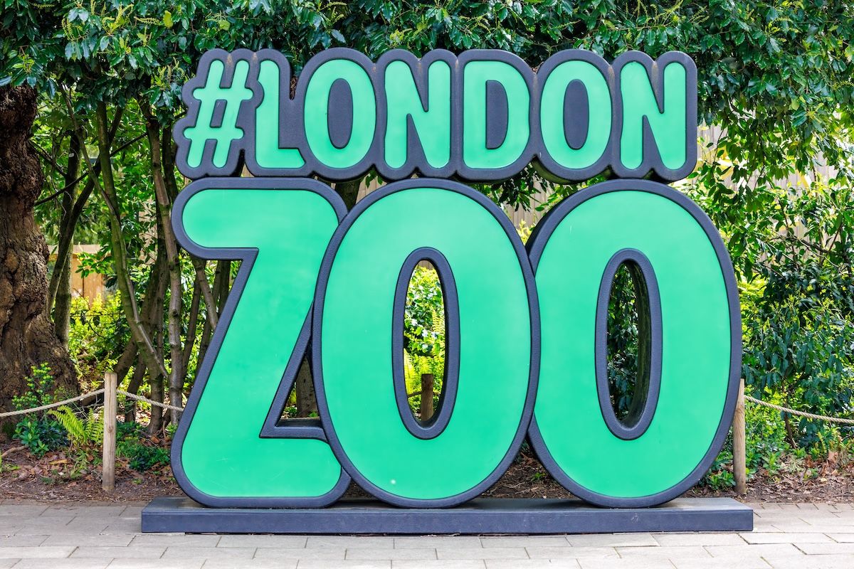 Visiter le Zoo de Londres